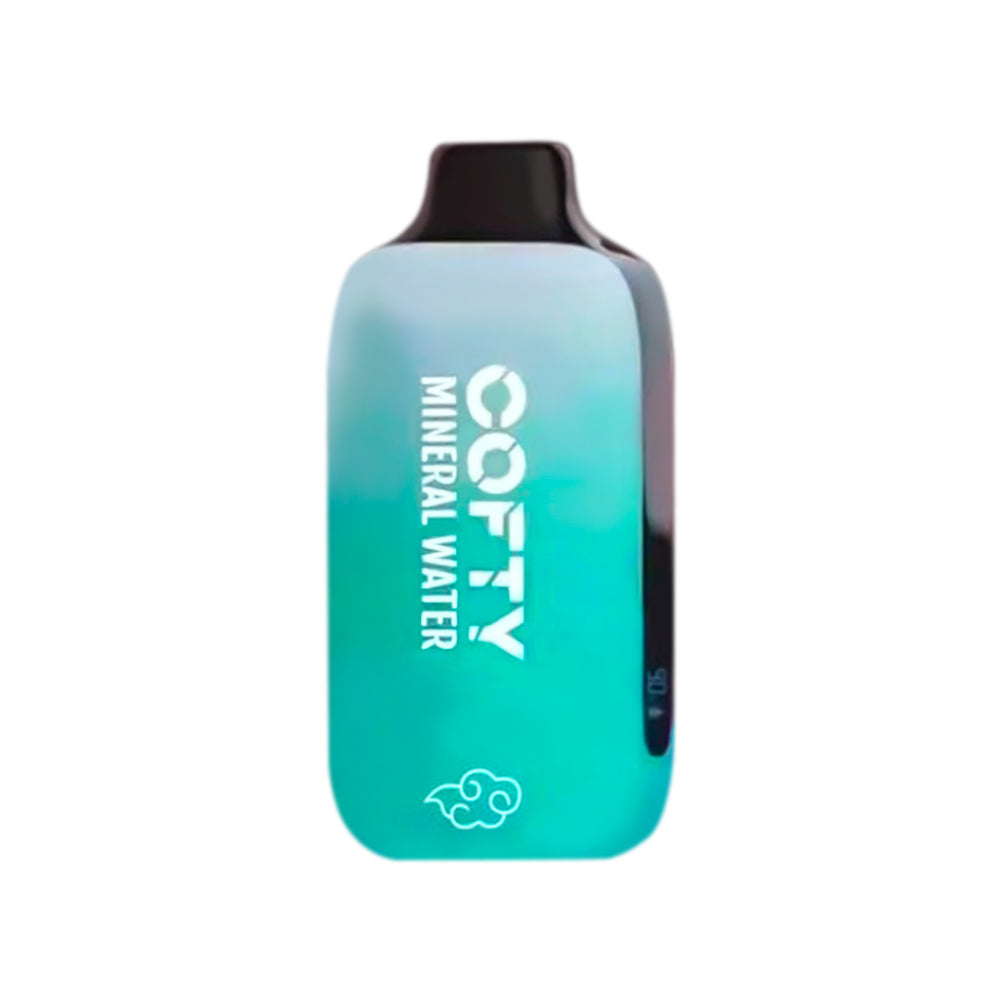 飞雾 COFTY 四代超冰凉一次性网红电子烟，9000口带显示屏 – 悦淘蒸汽